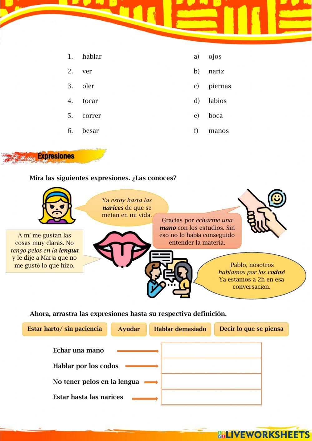 El cuerpo humano | Free Interactive Worksheets | 3073079