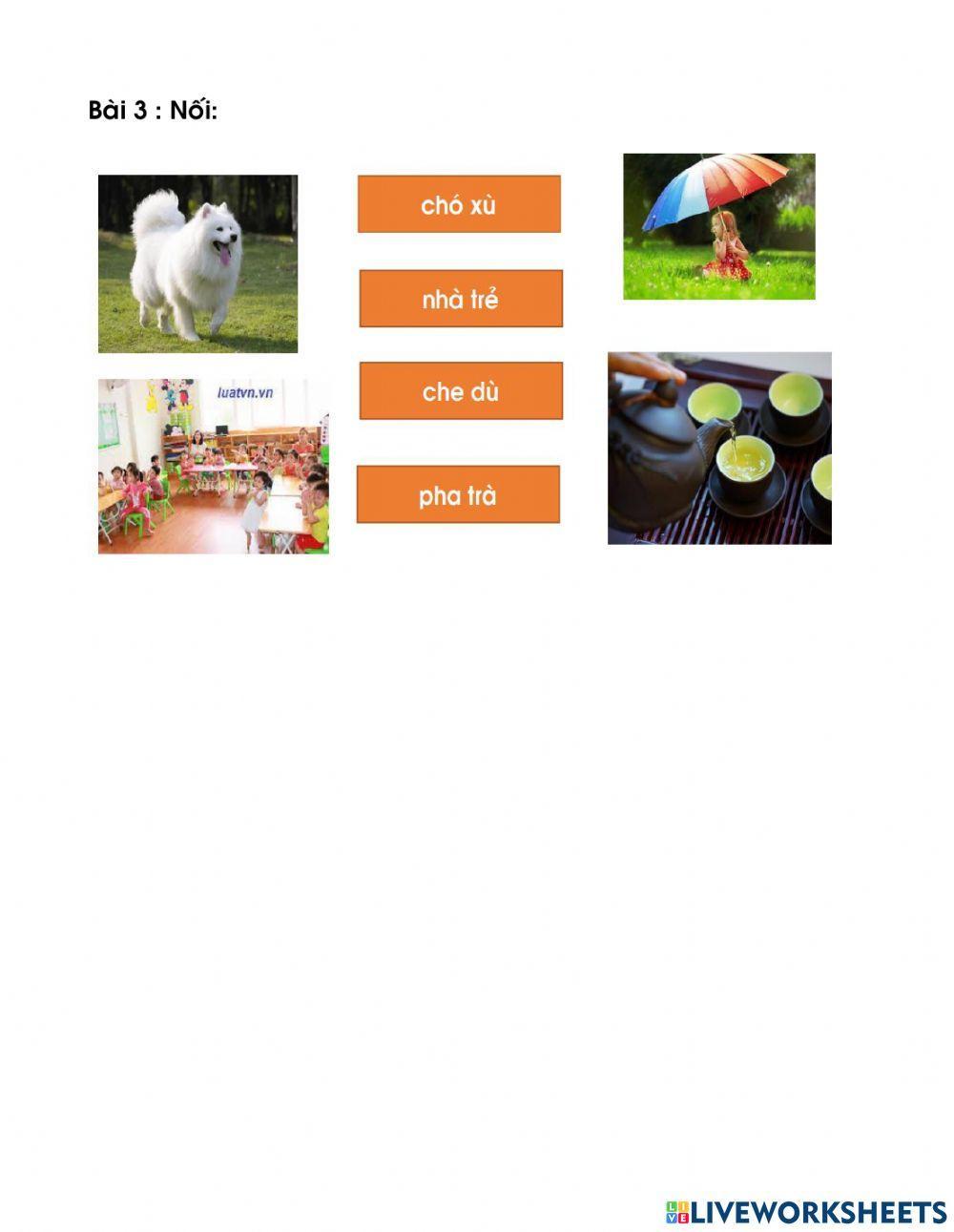 Bài tập tr - ch | Free Interactive Worksheets | 1569294