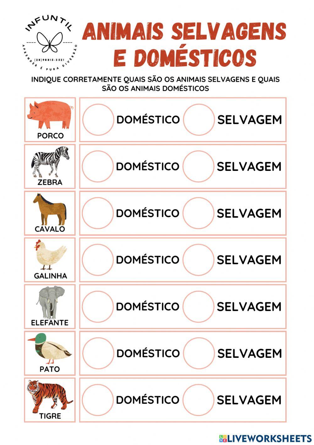 Tipos de animais interactive worksheet | Live Worksheets