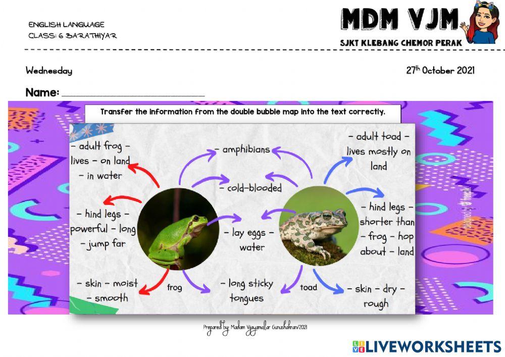 Similarities & Differences interactive worksheet | Live Worksheets