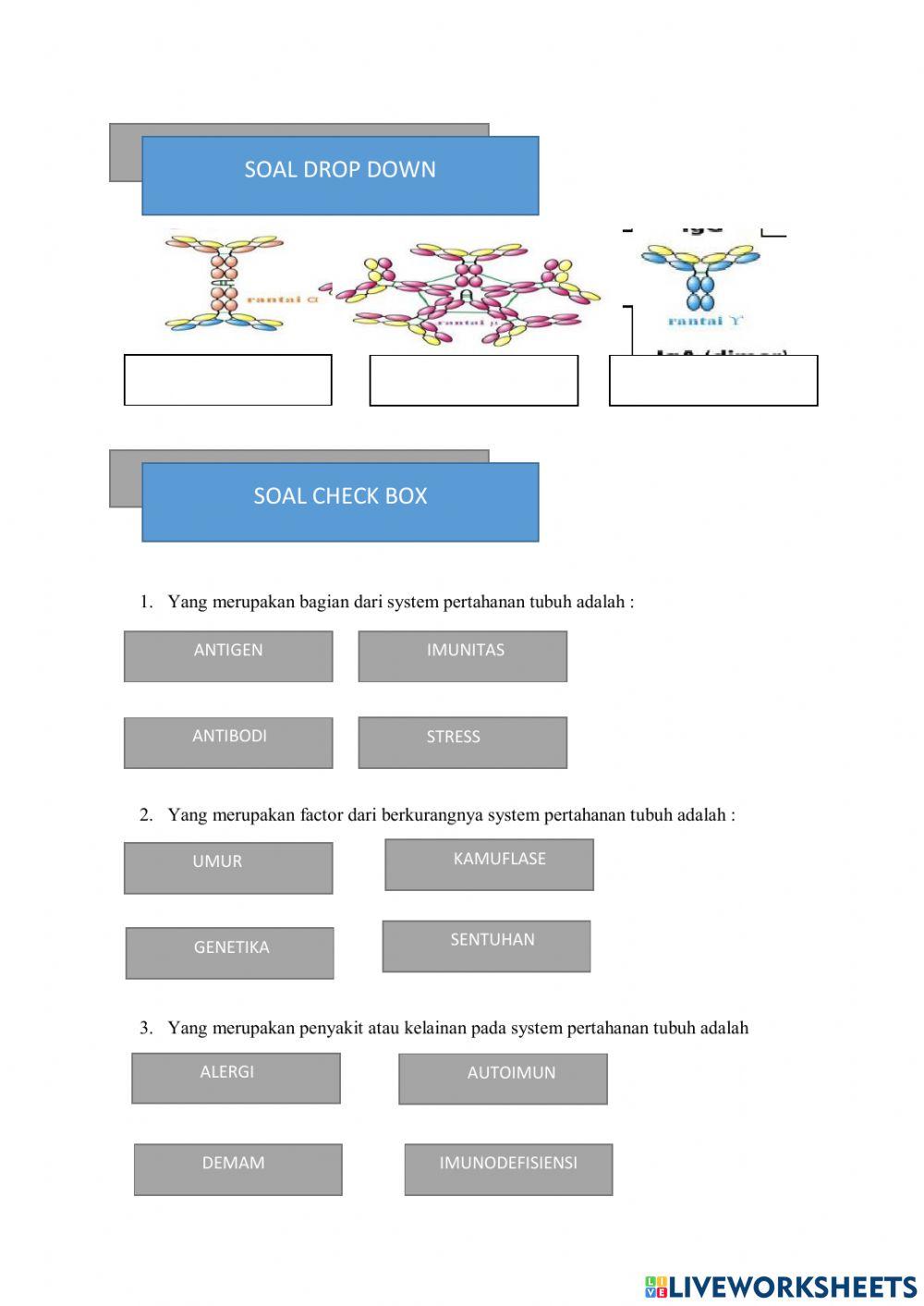 LKPD Biologi interactive worksheet for 9 | Live Worksheets