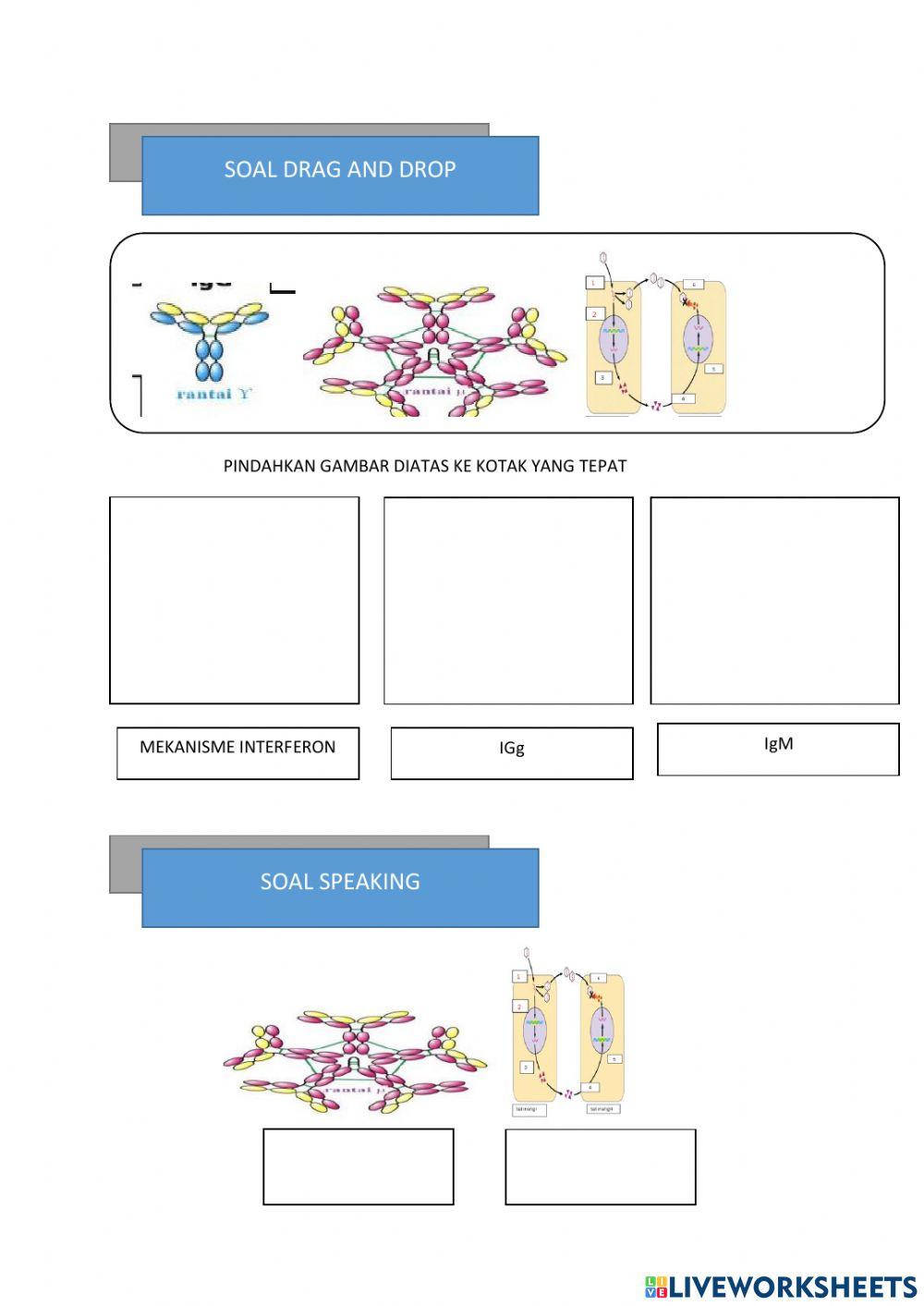 LKPD Biologi interactive worksheet for 9 | Live Worksheets