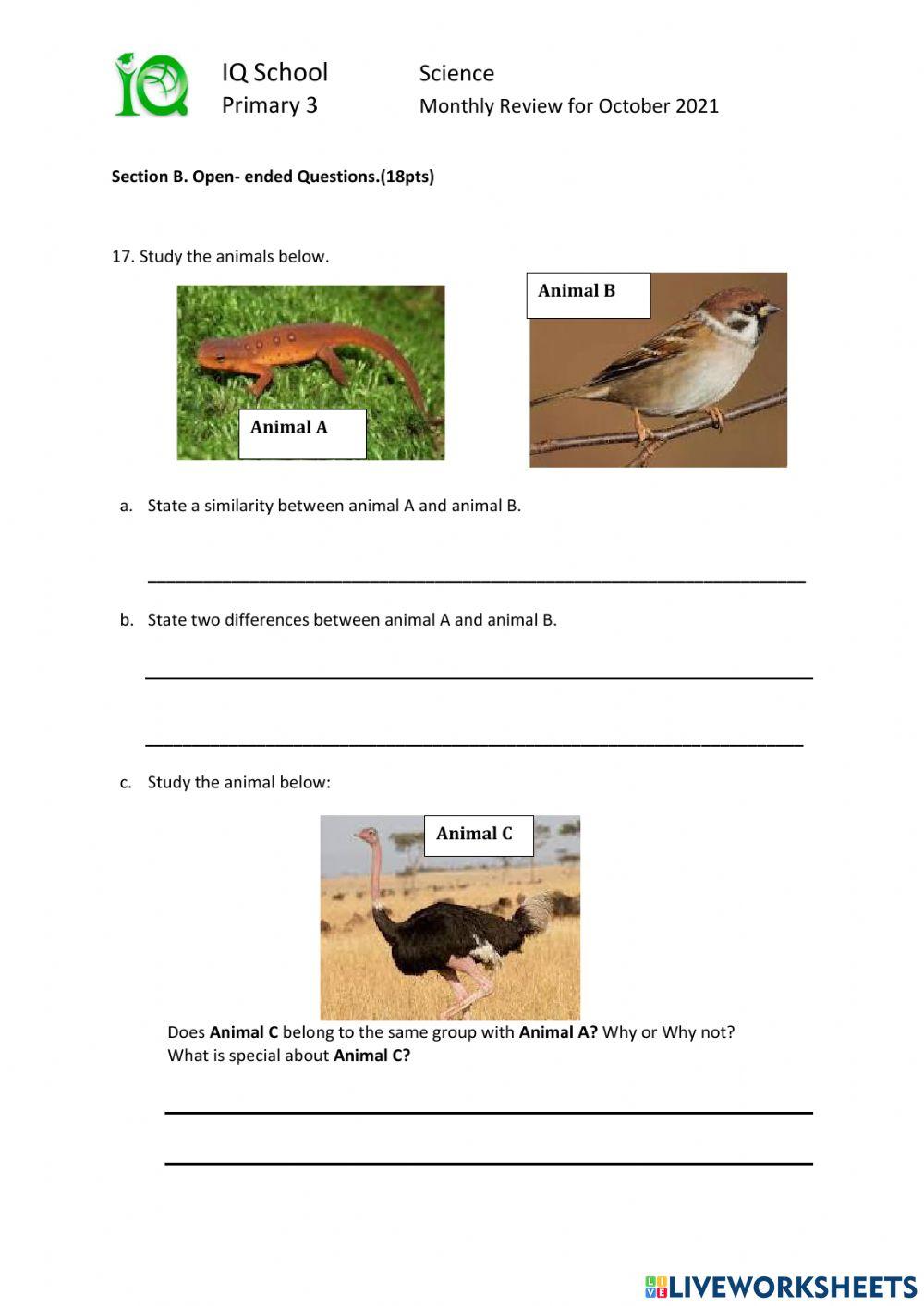 P3 Monthly Review for the month of October 1573646