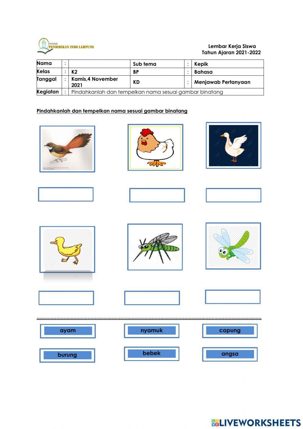 Tema Binatang interactive exercise | Live Worksheets