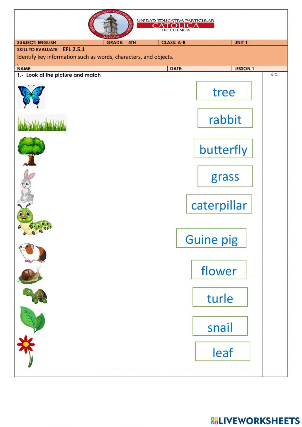 In the yard | Free Interactive Worksheets | 1575029