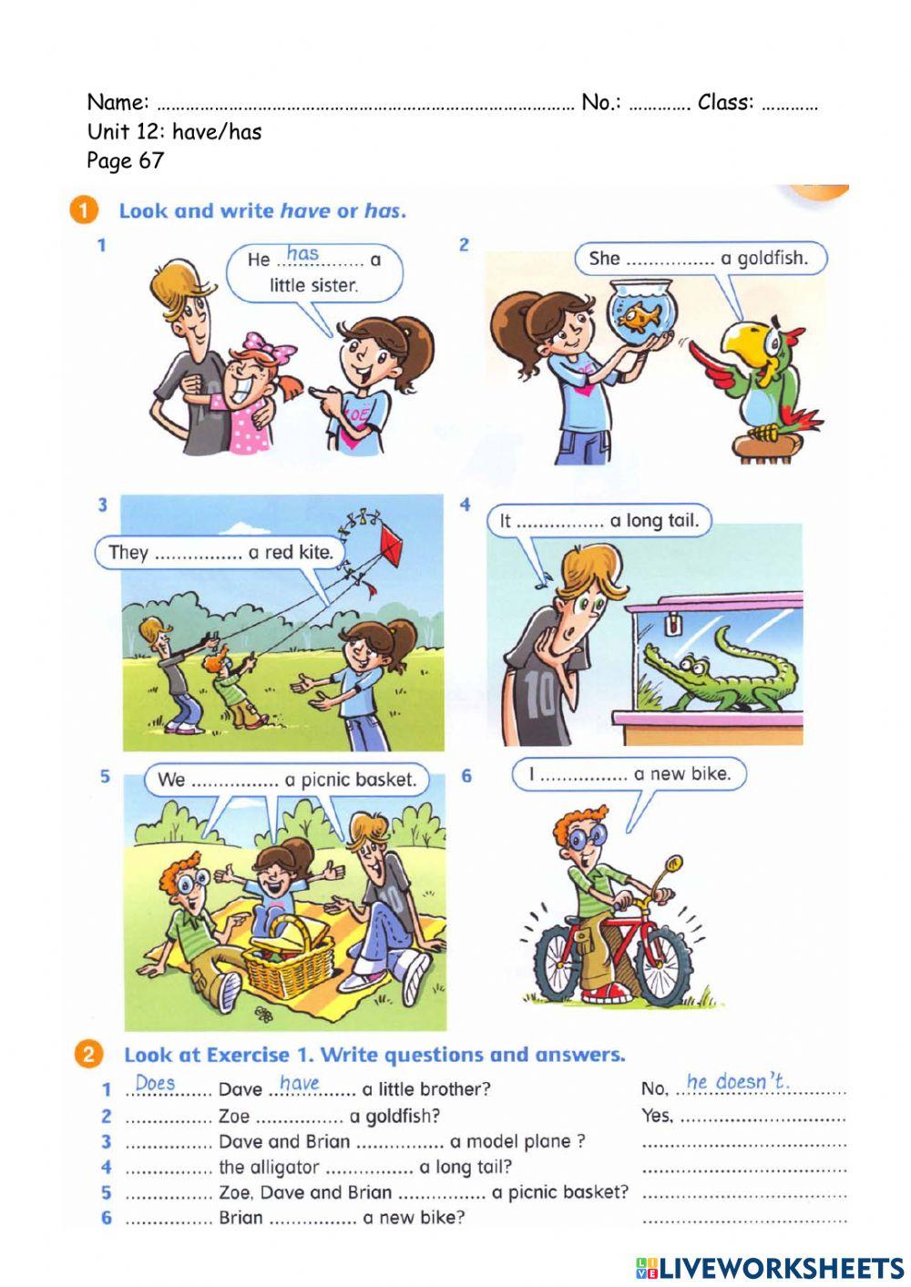 1575489 | Have and Has | GrammarP13 | LiveWorksheets