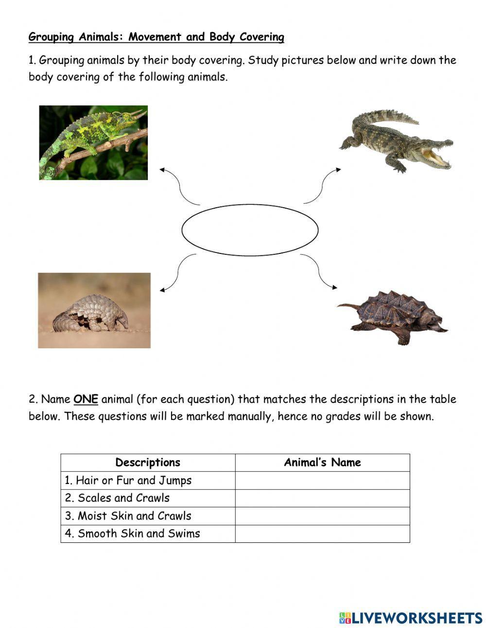 Grouping Animal… | Free Interactive Worksheets | 1576409