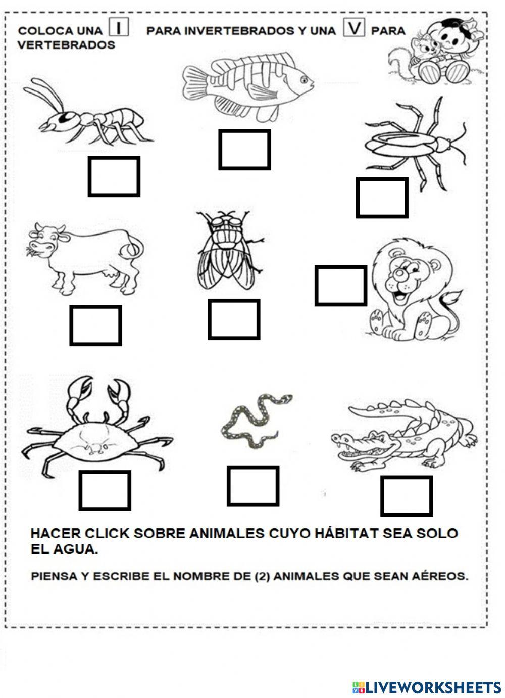 Pdf online worksheet: Vertebrados | Live Worksheets
