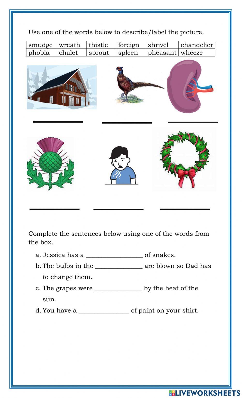 Grade 4 Digraphs - Vocabulary 6758606 | Shanna Clarke