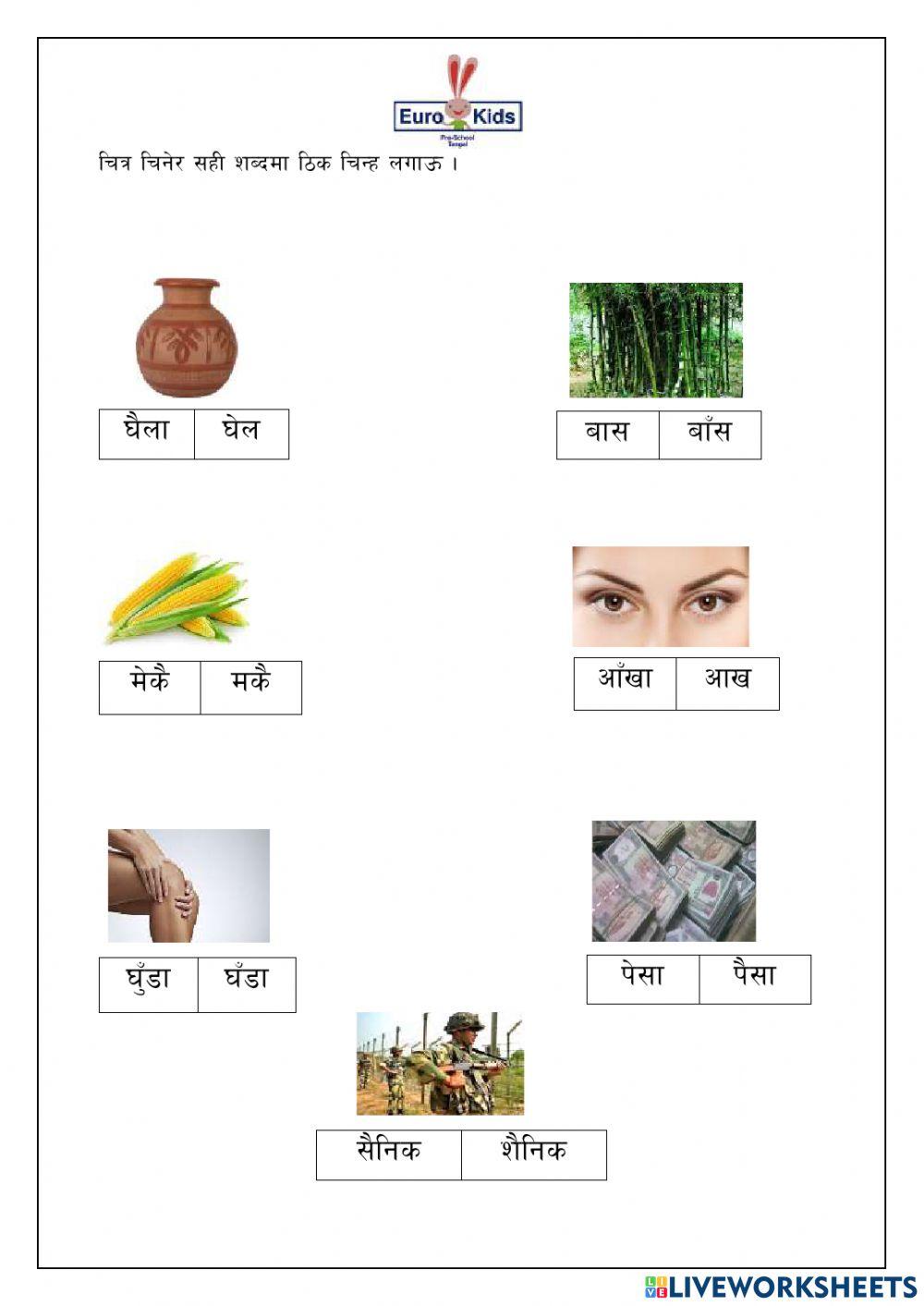 Nepali exercise | Live Worksheets