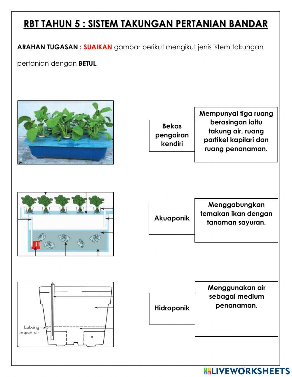 1578164 | Rbt tahun 5 - sistem takungan | hazmanazhar92