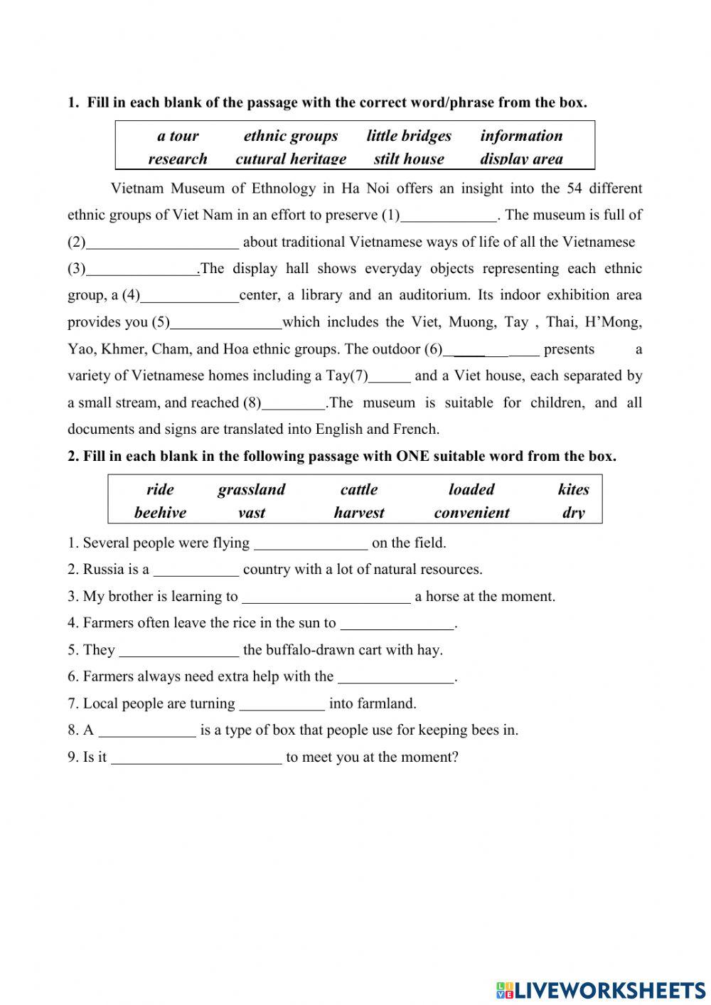 Grade 8 review unit 1,2,3 activity | Live Worksheets