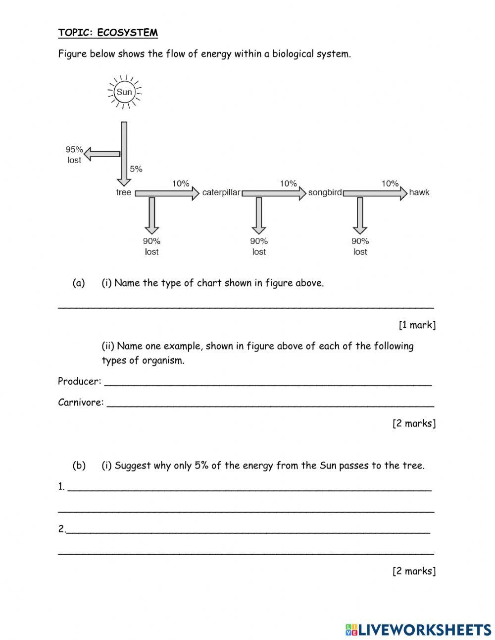 Ecosystem online worksheet for Year 11 | Live Worksheets