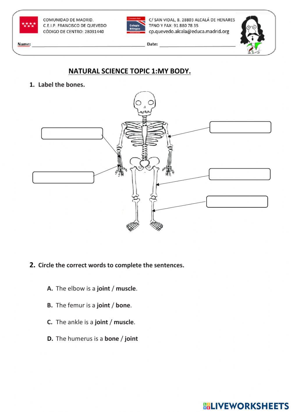 6758955 | joints, bones and muscles | pabloalamo