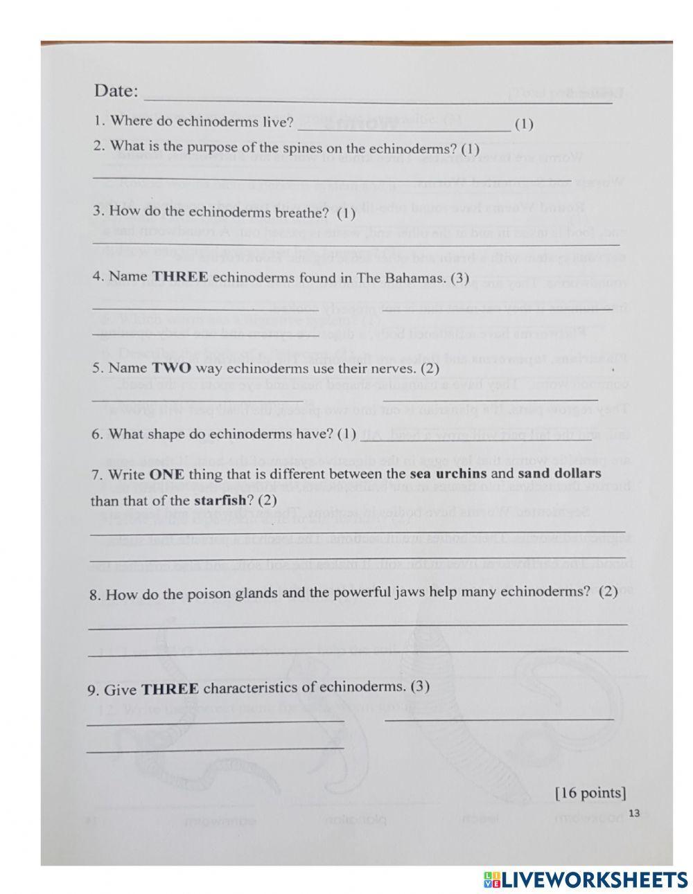 Echinoderms online exercise | Live Worksheets