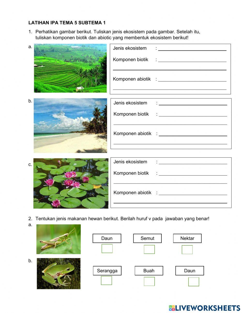 Ipa tema 5 sub tema 1 worksheet | Live Worksheets
