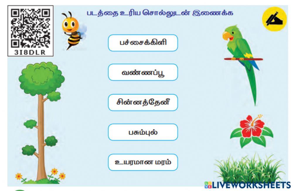 Join pic to word worksheet | Live Worksheets