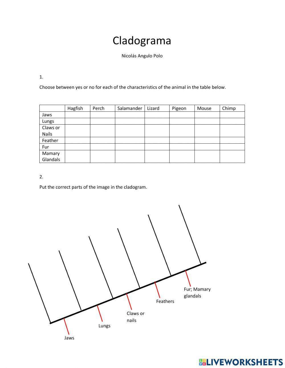 Cladograma online exercise for | Live Worksheets