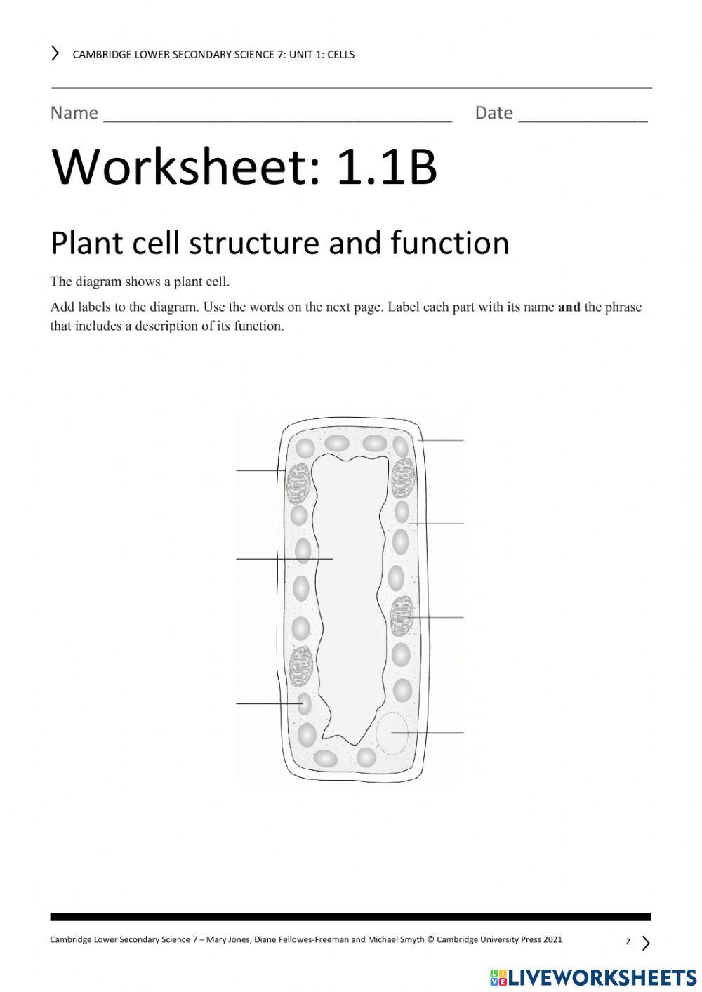 5224611 | Chapter 1 - Cell (Revision) | Angeline OH Abai