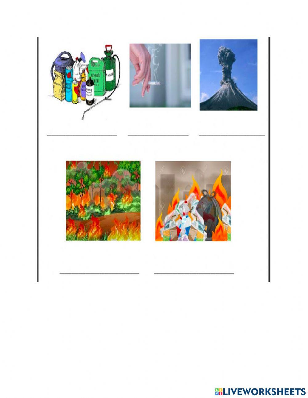 Looking after resources worksheet 3 online exercise for | Live Worksheets