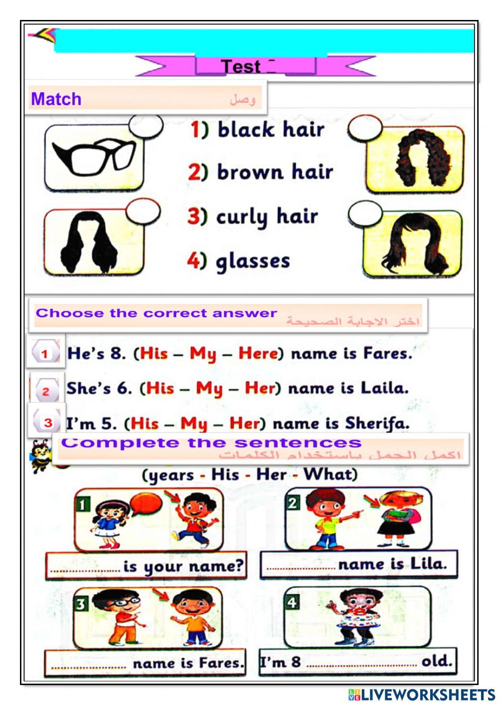 Connect plus 1 unit 1 3460837 | mrmahmoudelramady | Live