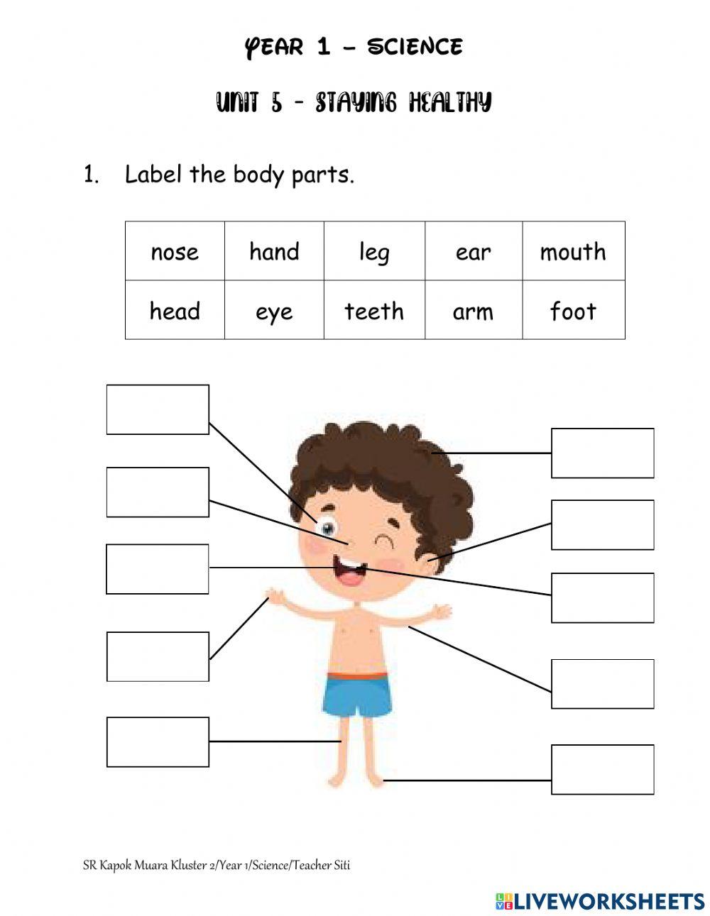 Staying Healthy activity for Year 1 | Live Worksheets