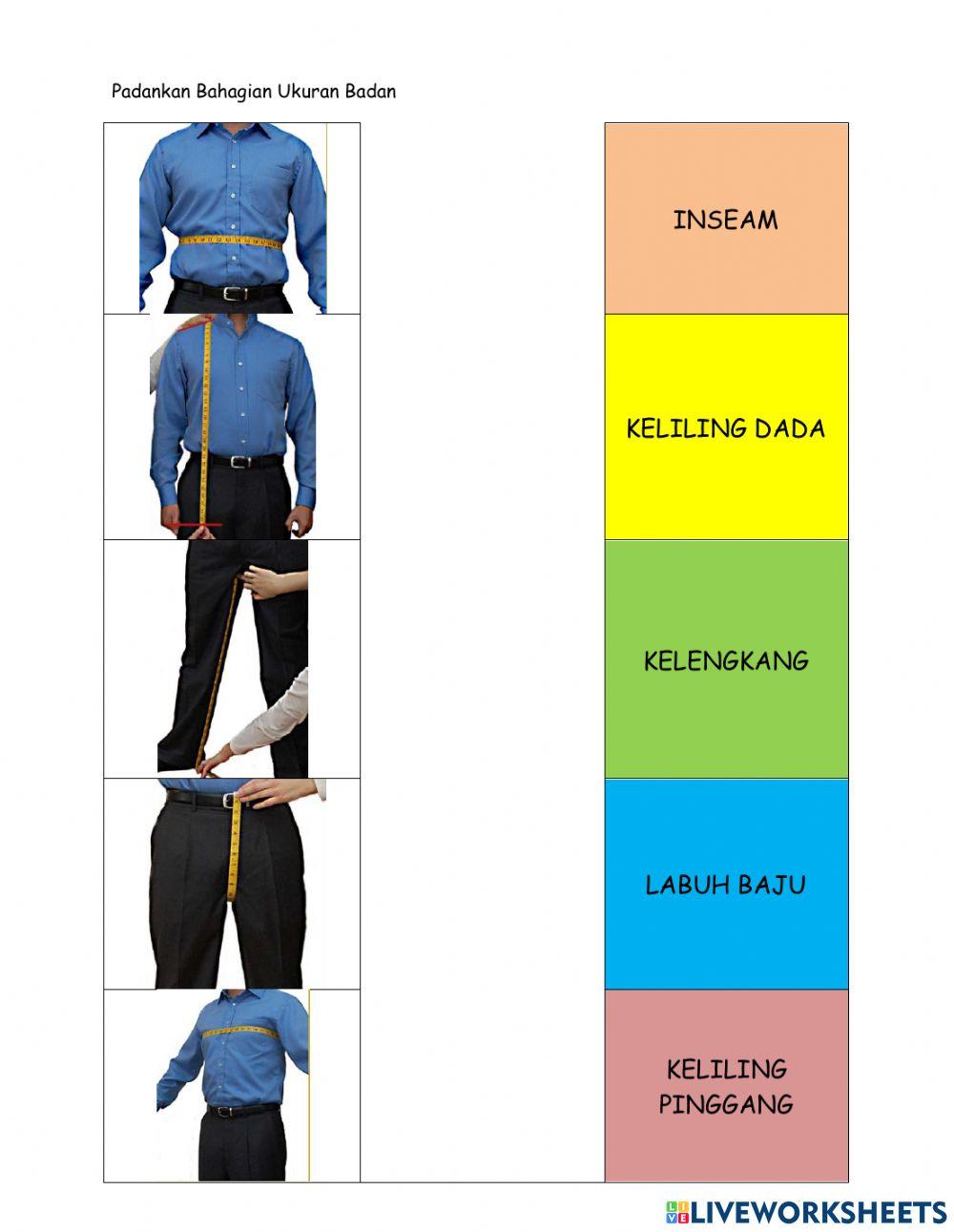 Bahagian ukuran badan | acx5600 | Live Worksheets