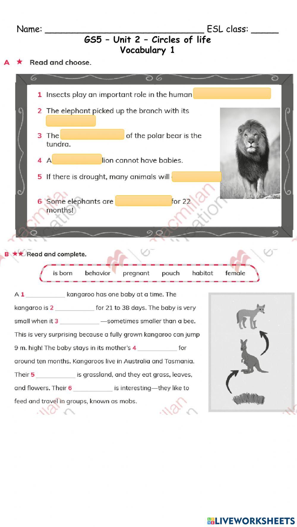 Gs5-u2-circles of life worksheet | Live Worksheets