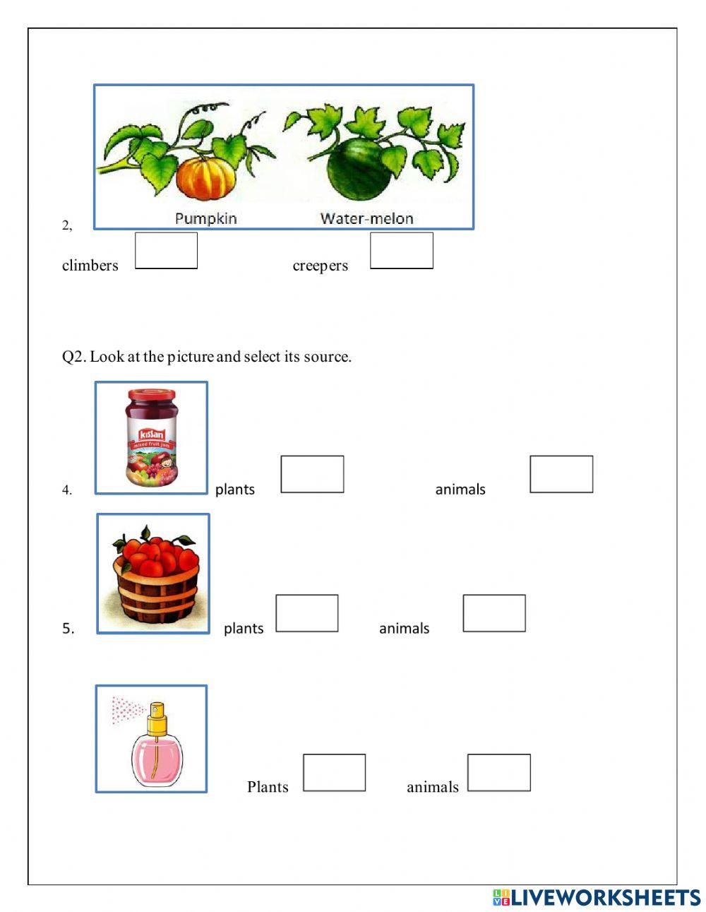 Class 1 EVS 2021-22 6733537 | DhanashreVispute | Live