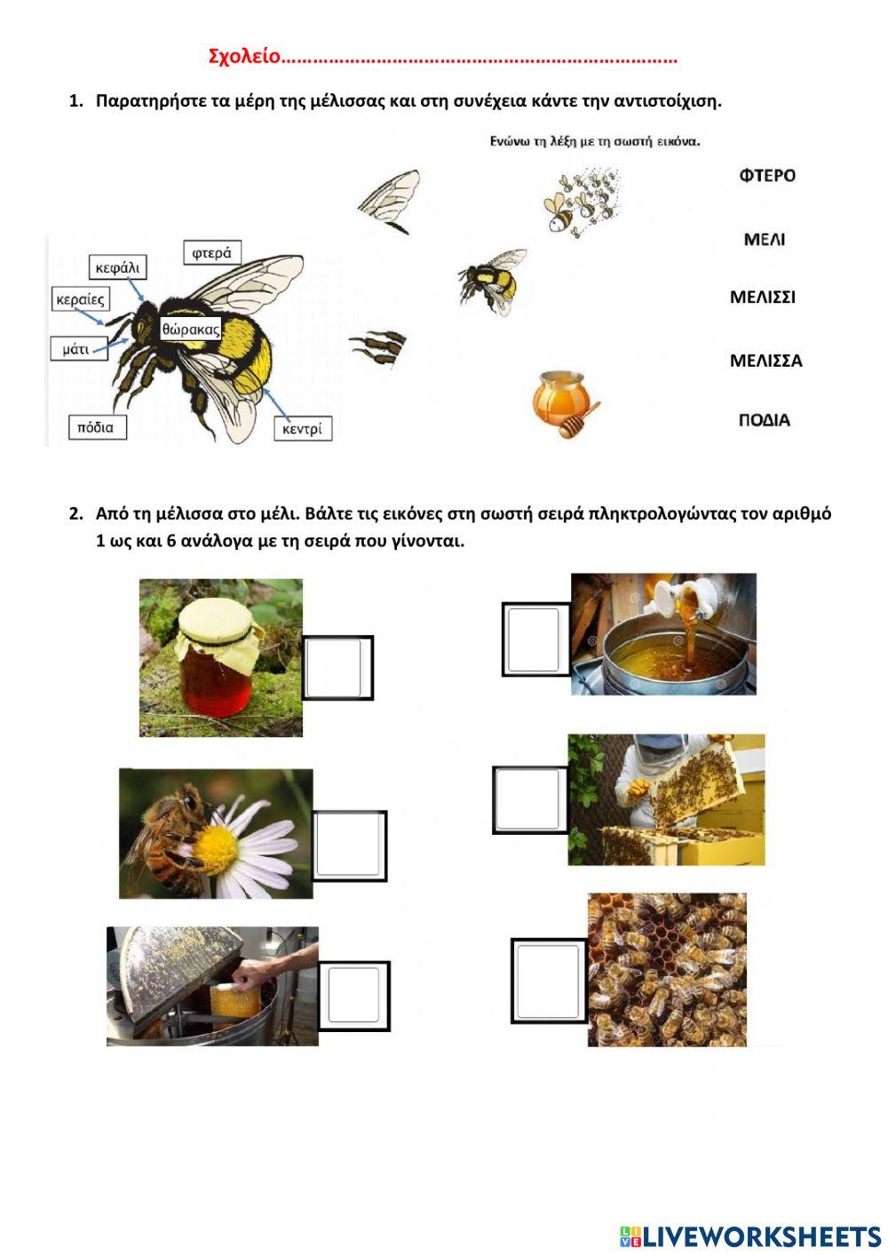 behave beehive betwin online exercise for | Live Worksheets
