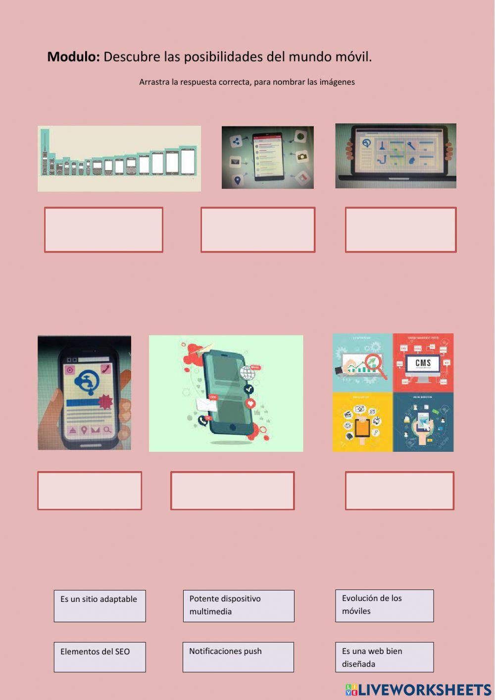 Modulo: Descubre las posibilidades del mundo movil worksheet | Live ...