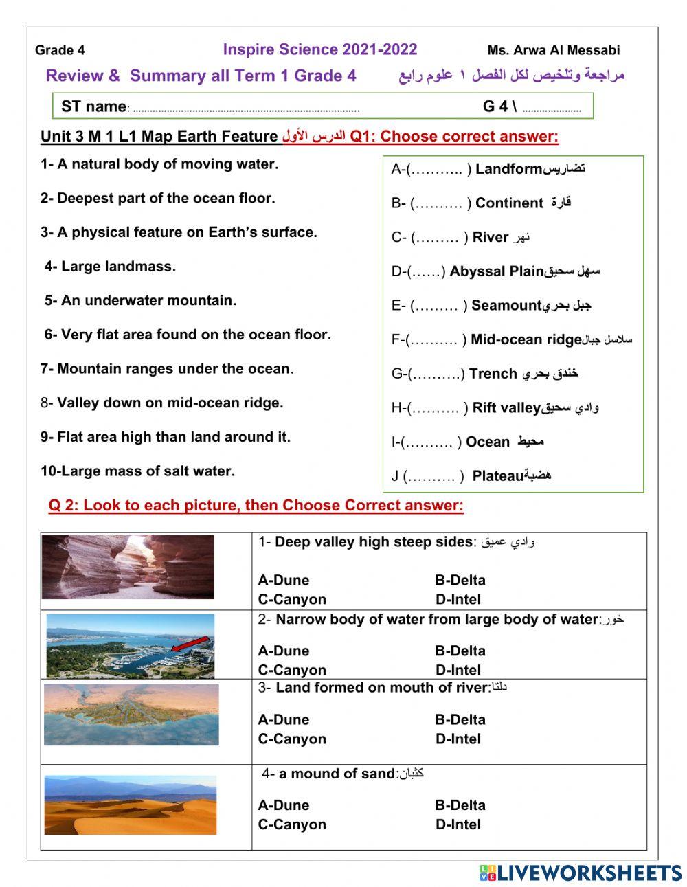 Summary Review Term 1 online exercise for | Live Worksheets