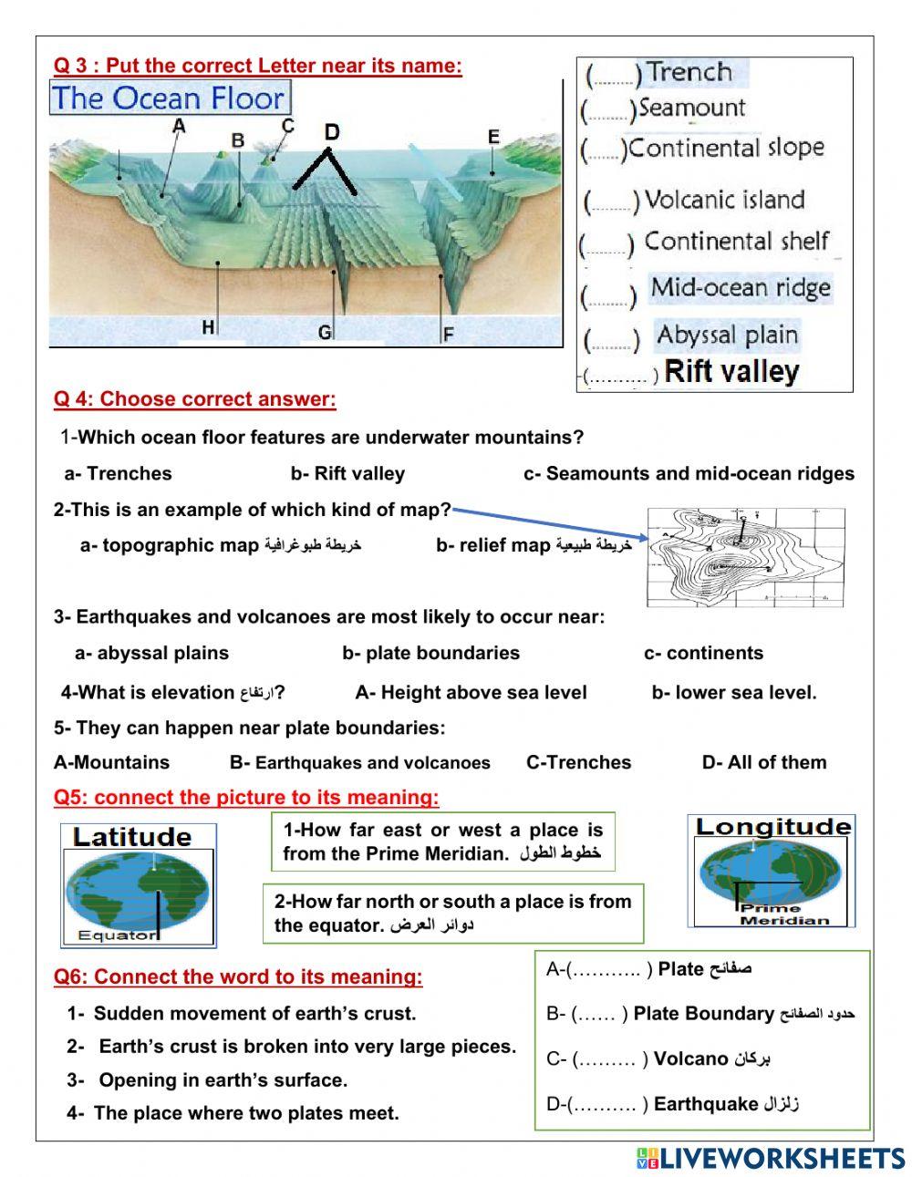 Summary Review Term 1 online exercise for | Live Worksheets