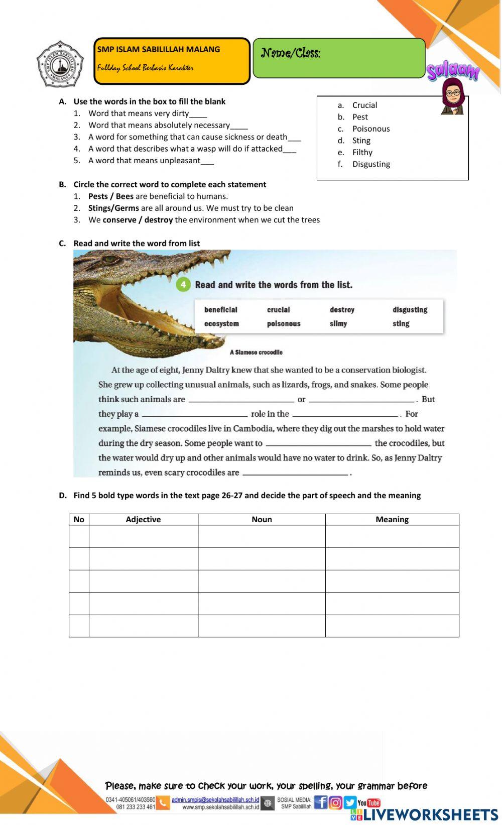 Misunderstood animals interactive worksheet | Live Worksheets