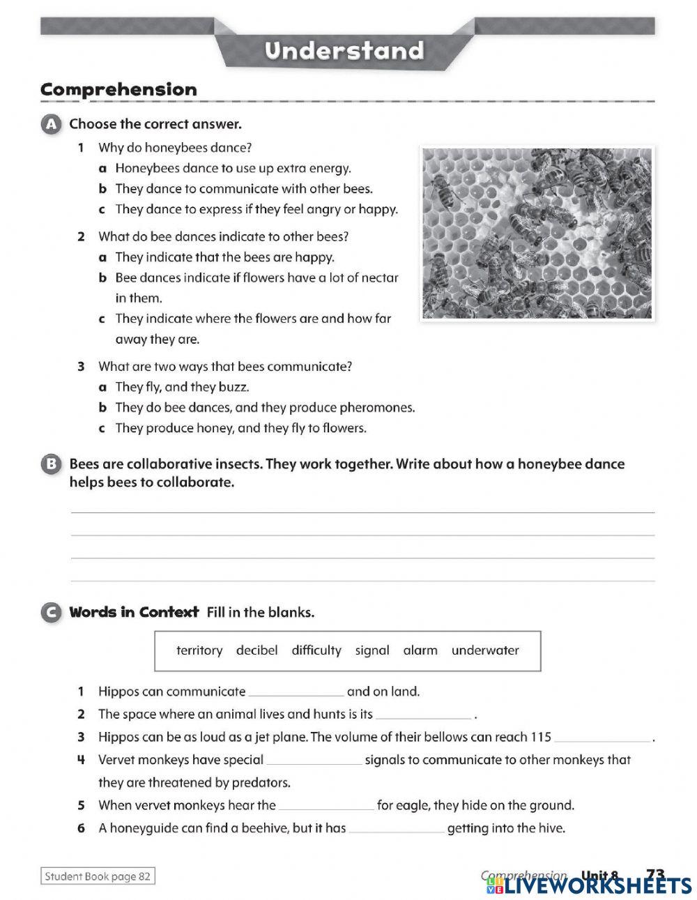PG 72-73 Oxford Discover 5 Workbook online exercise for | Live Worksheets