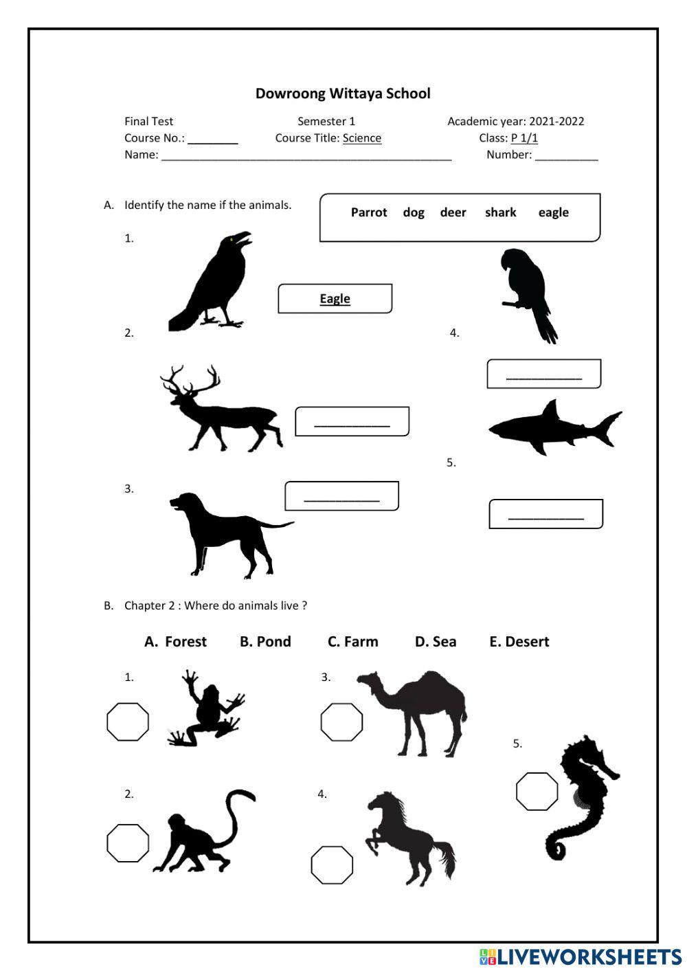 1480763 | P1-1 Science Final Test | Genevieve Adriano