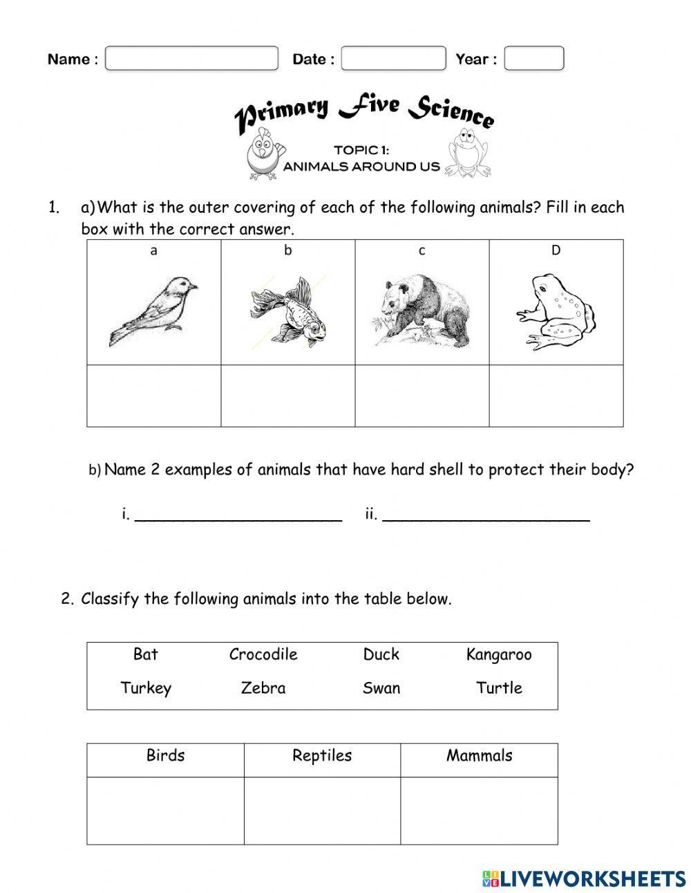 ANIMALS AROUND US online exercise for | Live Worksheets