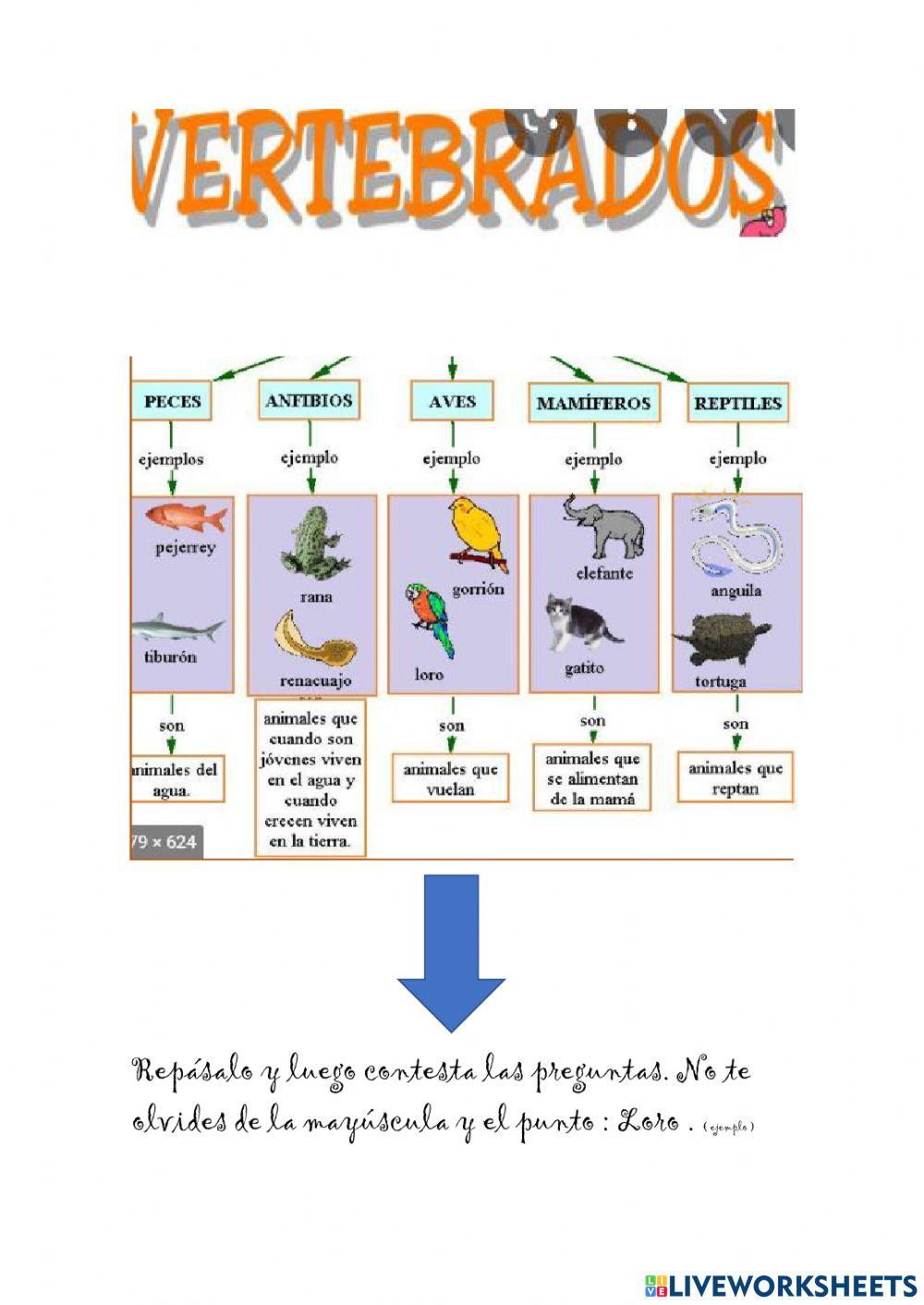 Los vertebrados interactive activity | Live Worksheets