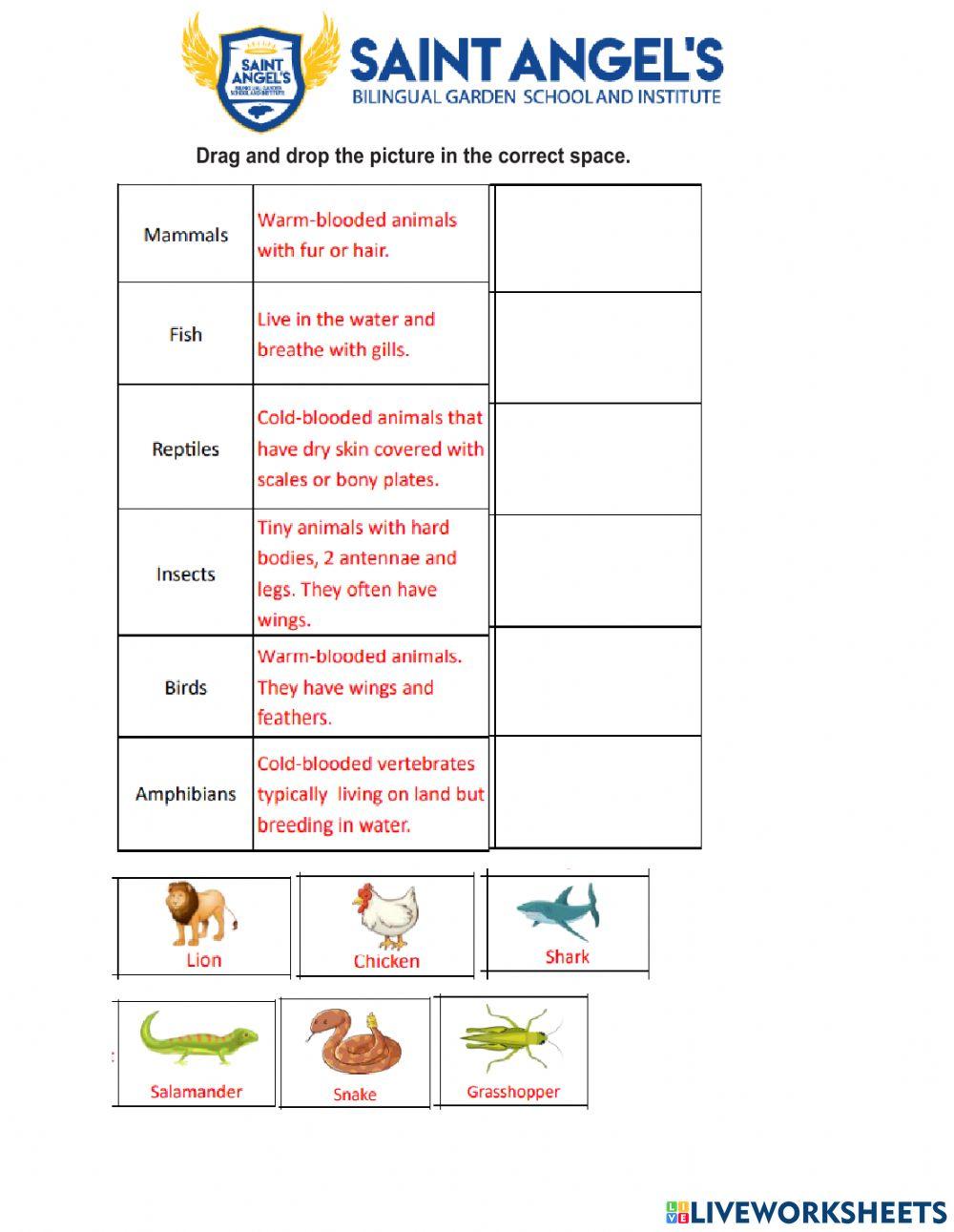Grammar 4 quiz … | Free Interactive Worksheets | 1482652