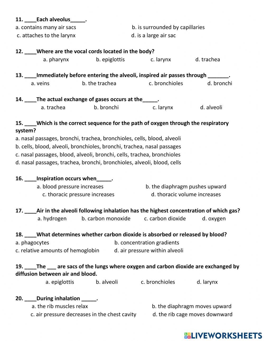 Breathing and Respiration Test Paper 1 6734699