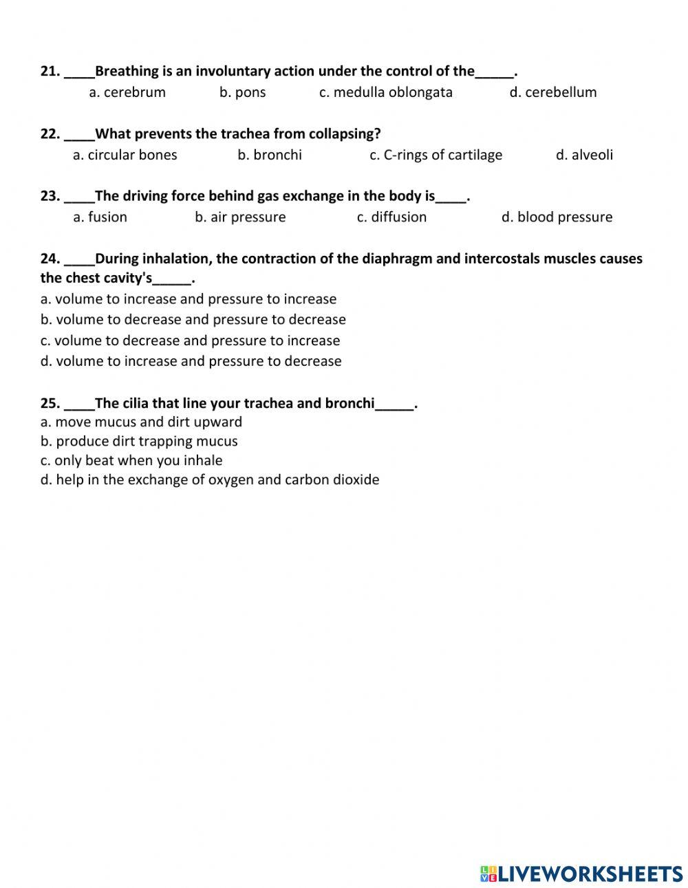 Breathing and Respiration Test Paper 1 6734699