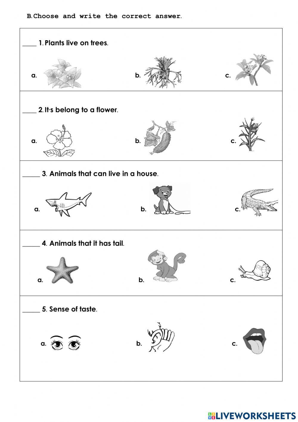 Final test exercise for Grade 1 | Live Worksheets