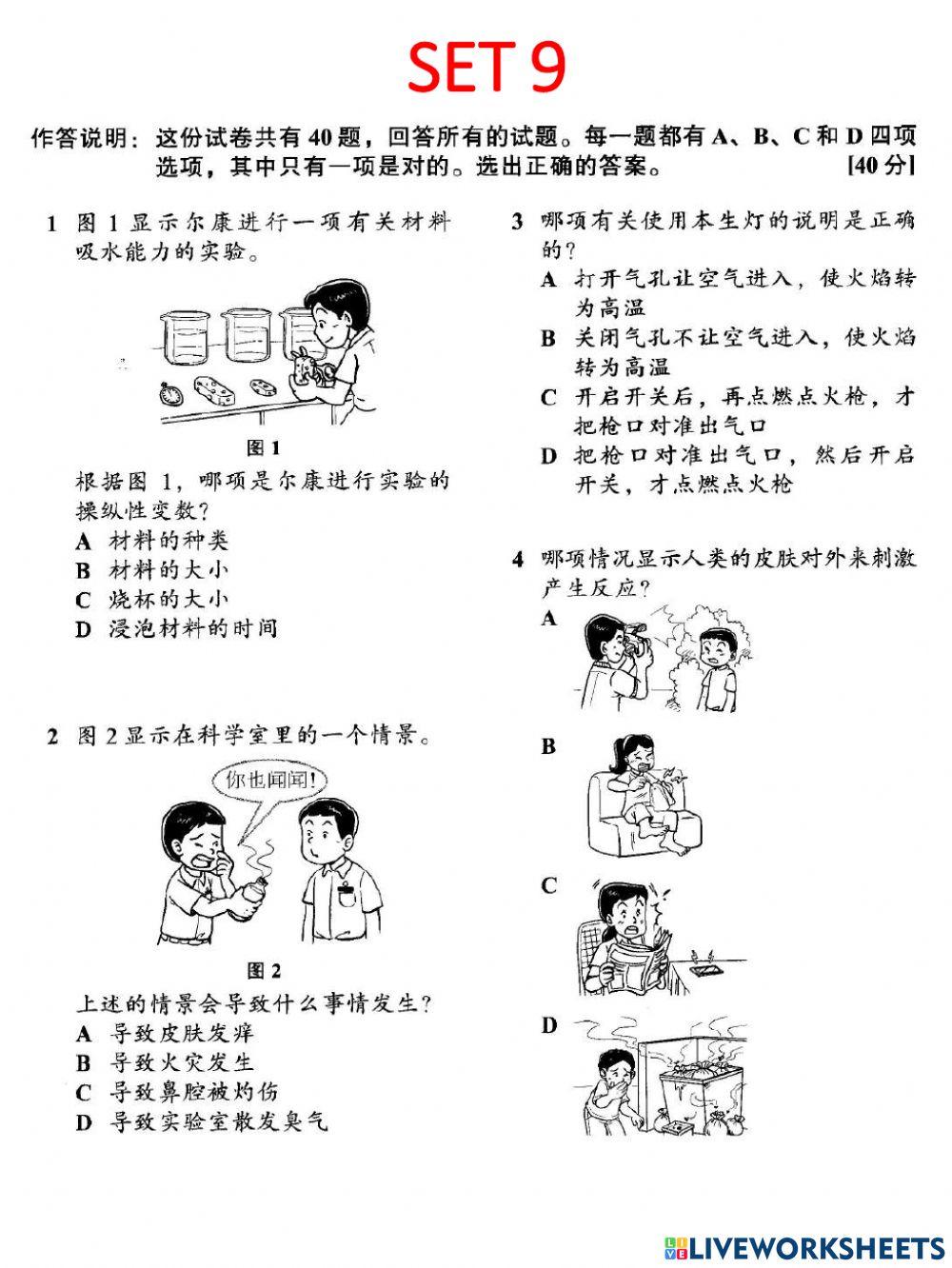 1484283 | Sn set 9 | Joeynn | LiveWorksheets