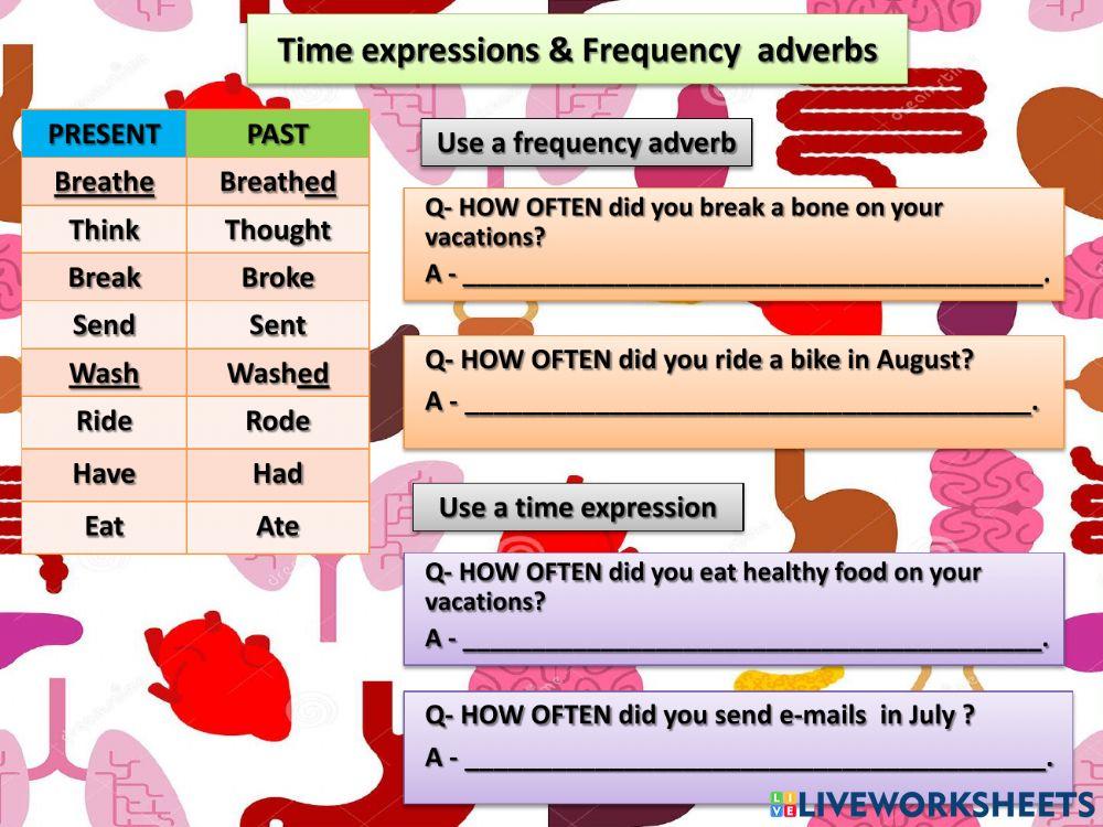 Our amazing body! Match and Answer 1484532 | Lrios1710