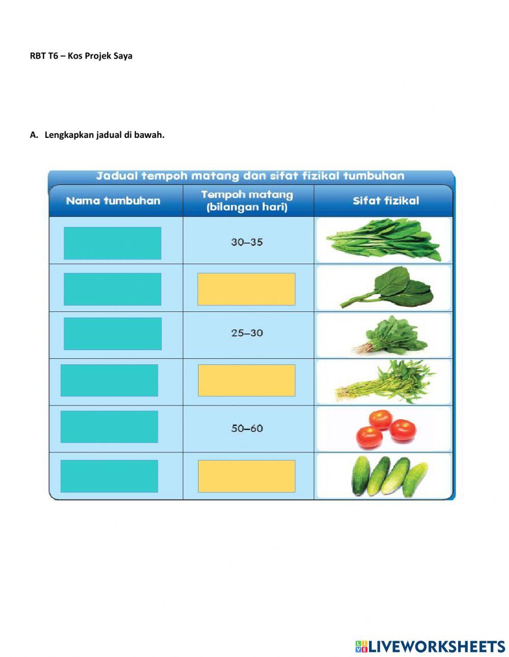 Rbt T6 1484945 | chemie | Live Worksheets