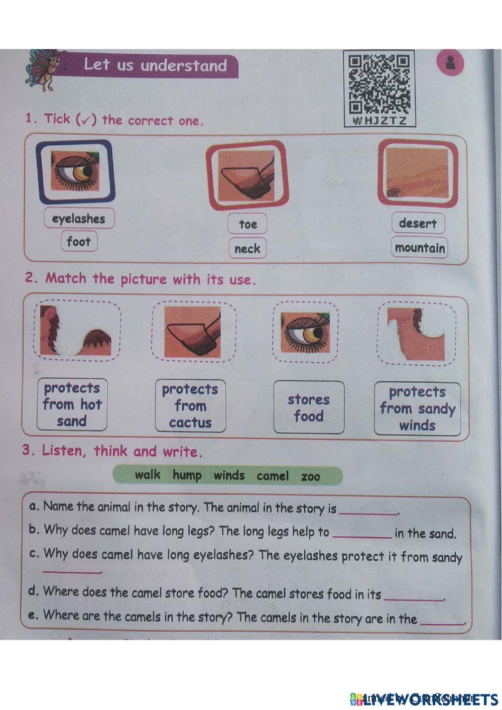 Class:3 first term : english :unit:3 the world around us...prepared by ...