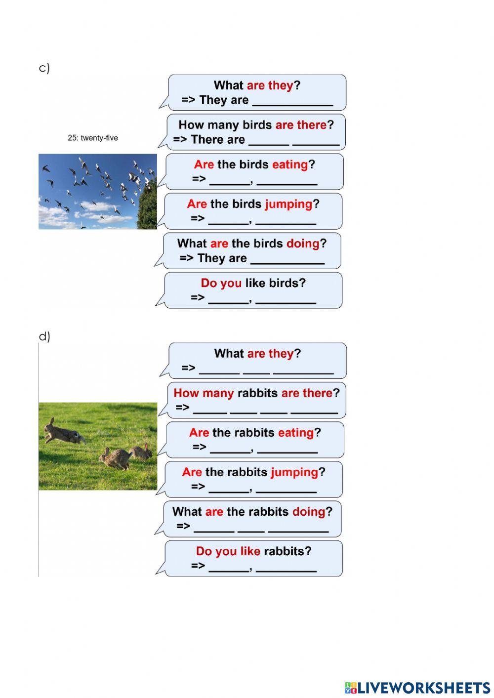 Unit 2 - Animals worksheet | Live Worksheets