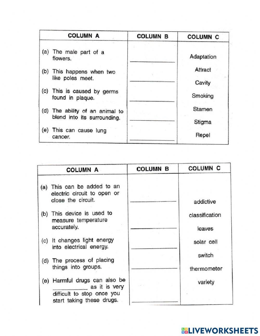 Section A Paper… | Free Interactive Worksheets | 3972582