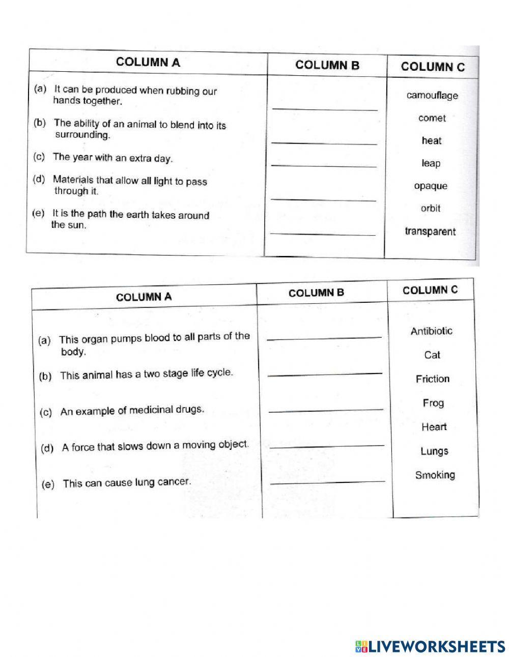 Section A Paper… | Free Interactive Worksheets | 3972582