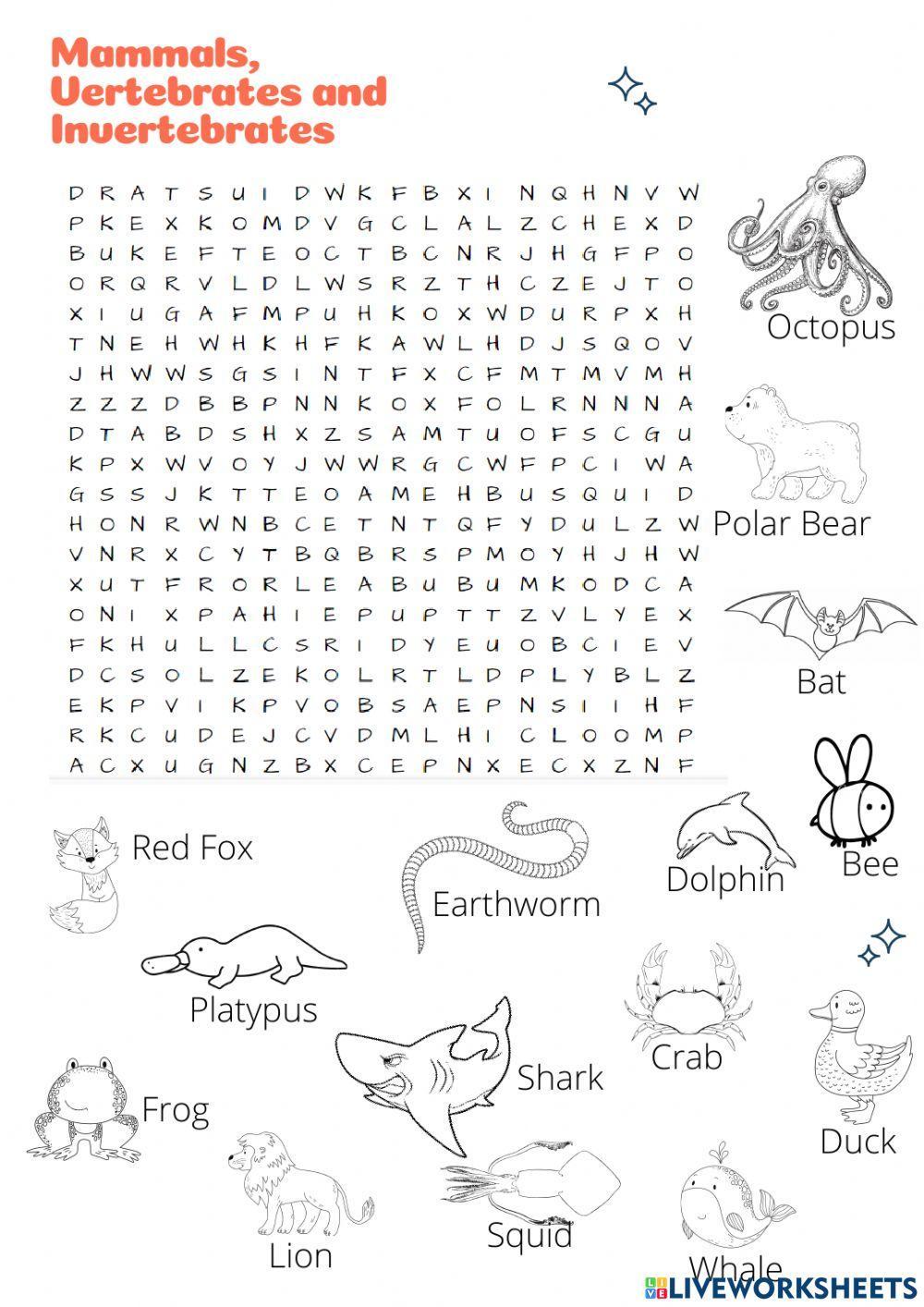 Mammals online exercise for 5TH | Live Worksheets